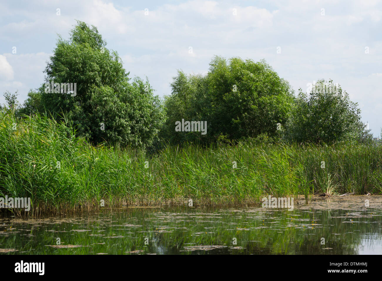Bucharest vacaresti park nature hi-res stock photography and images - Alamy