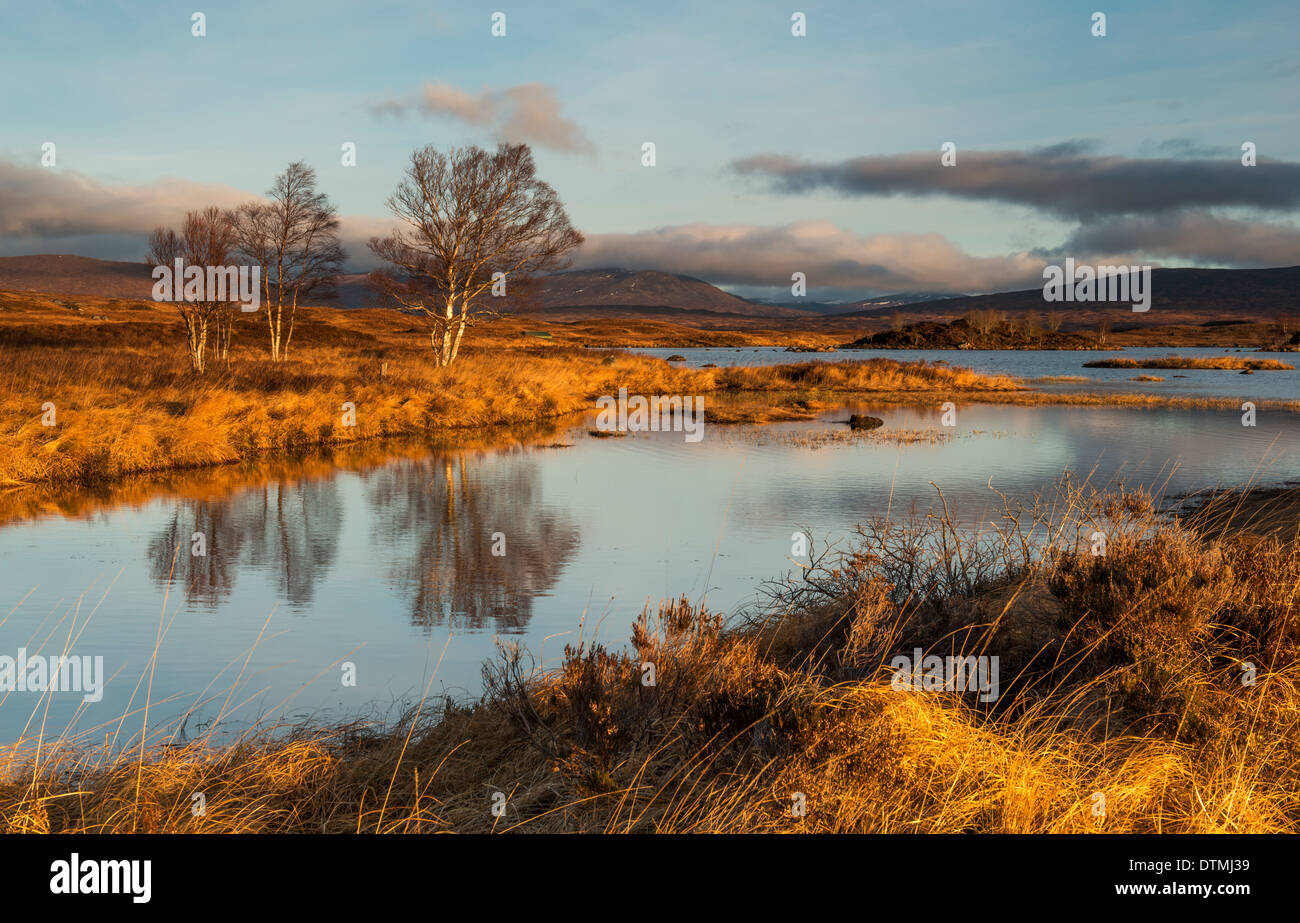 Loch ba trees hi-res stock photography and images - Alamy