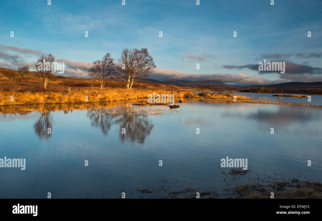Loch ba trees hi-res stock photography and images - Alamy