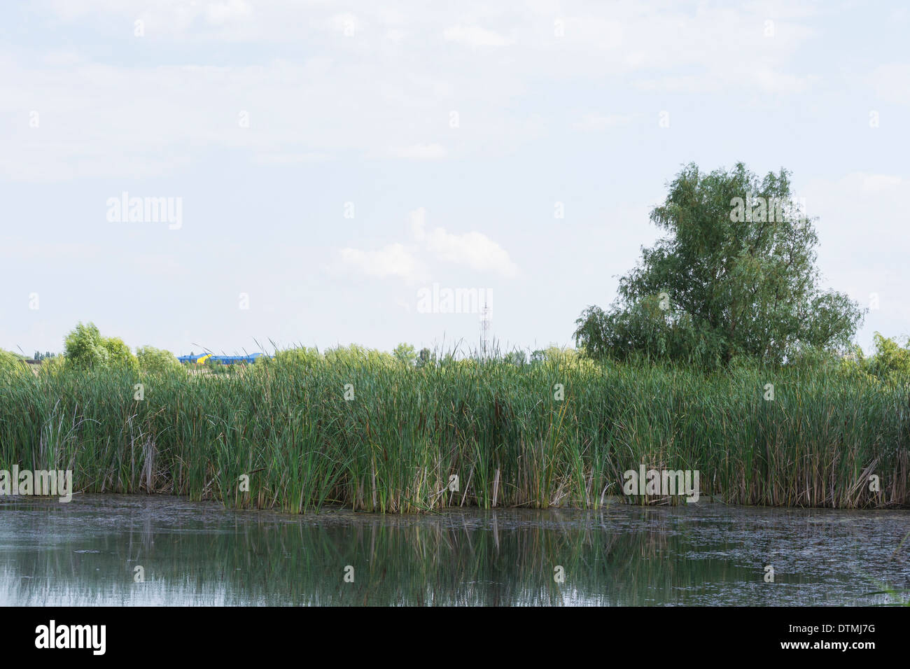 Vacaresti Delta, Bucharest, Romania Stock Photo - Alamy