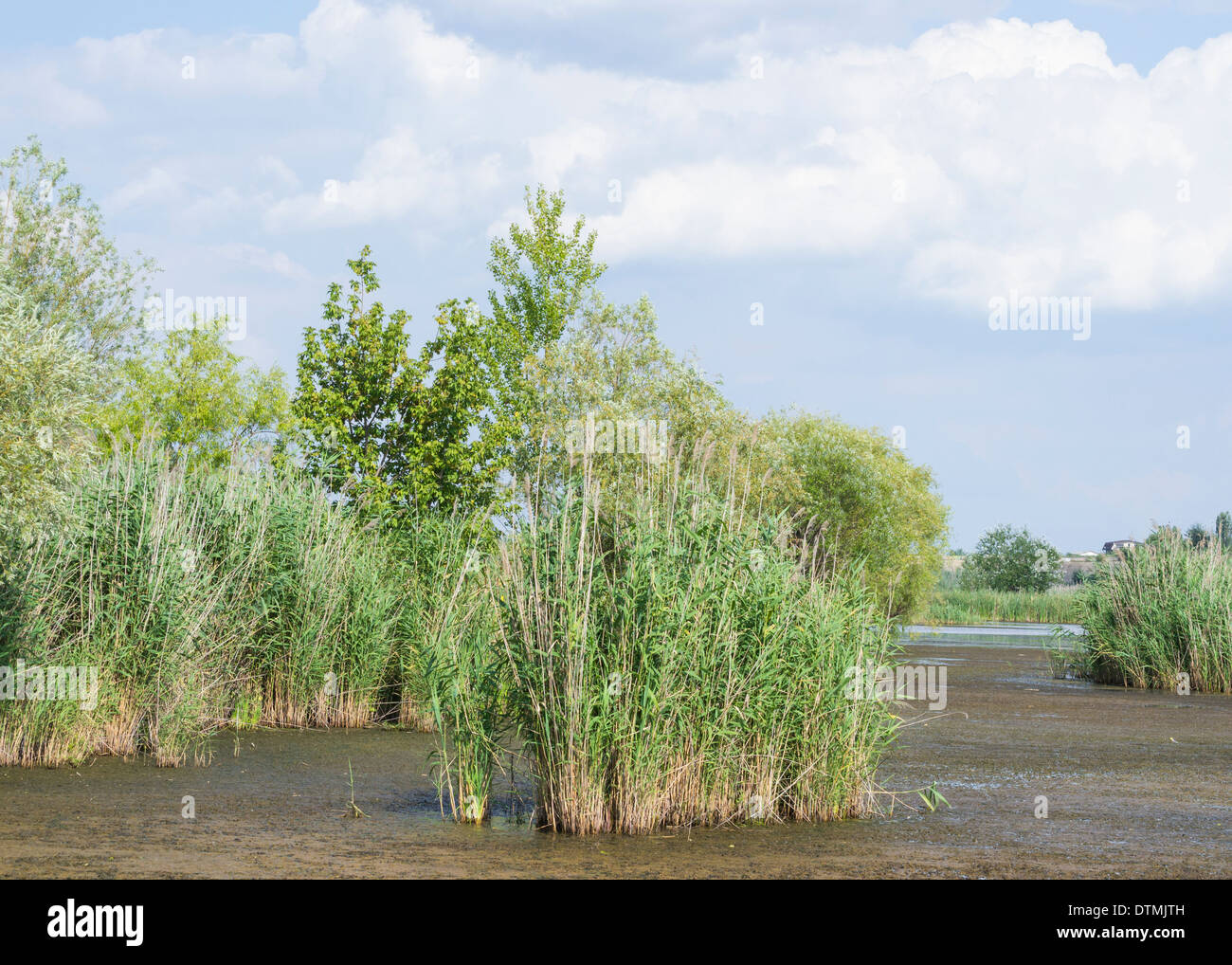 Vacaresti Delta, Bucharest, Romania Stock Photo - Alamy