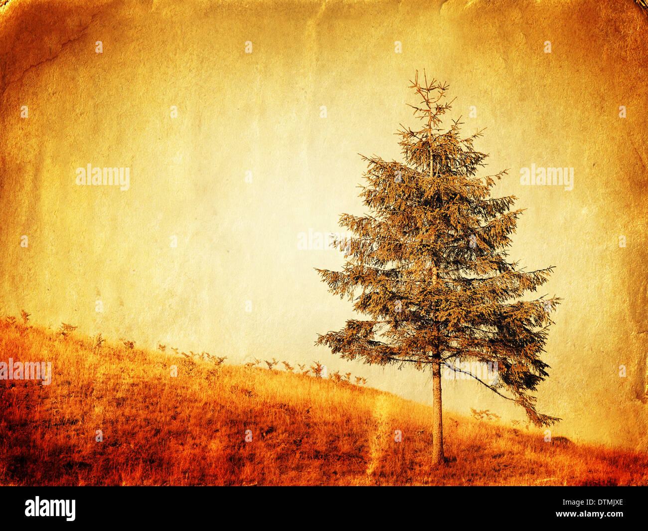 Vintage style photo of lonely tree Stock Photo - Alamy