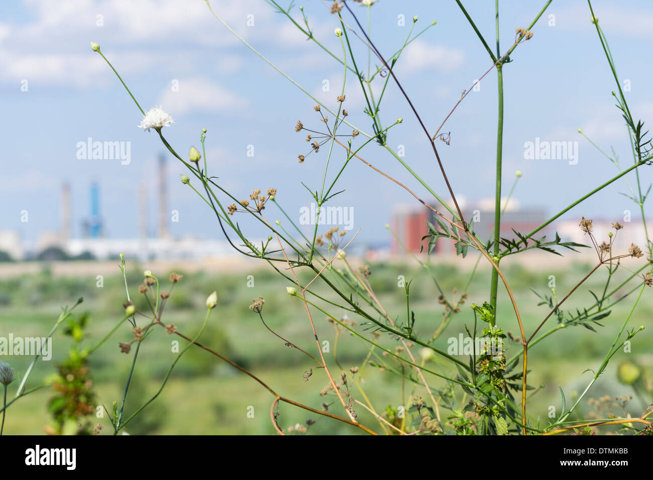 Vacaresti nature park hi-res stock photography and images - Alamy