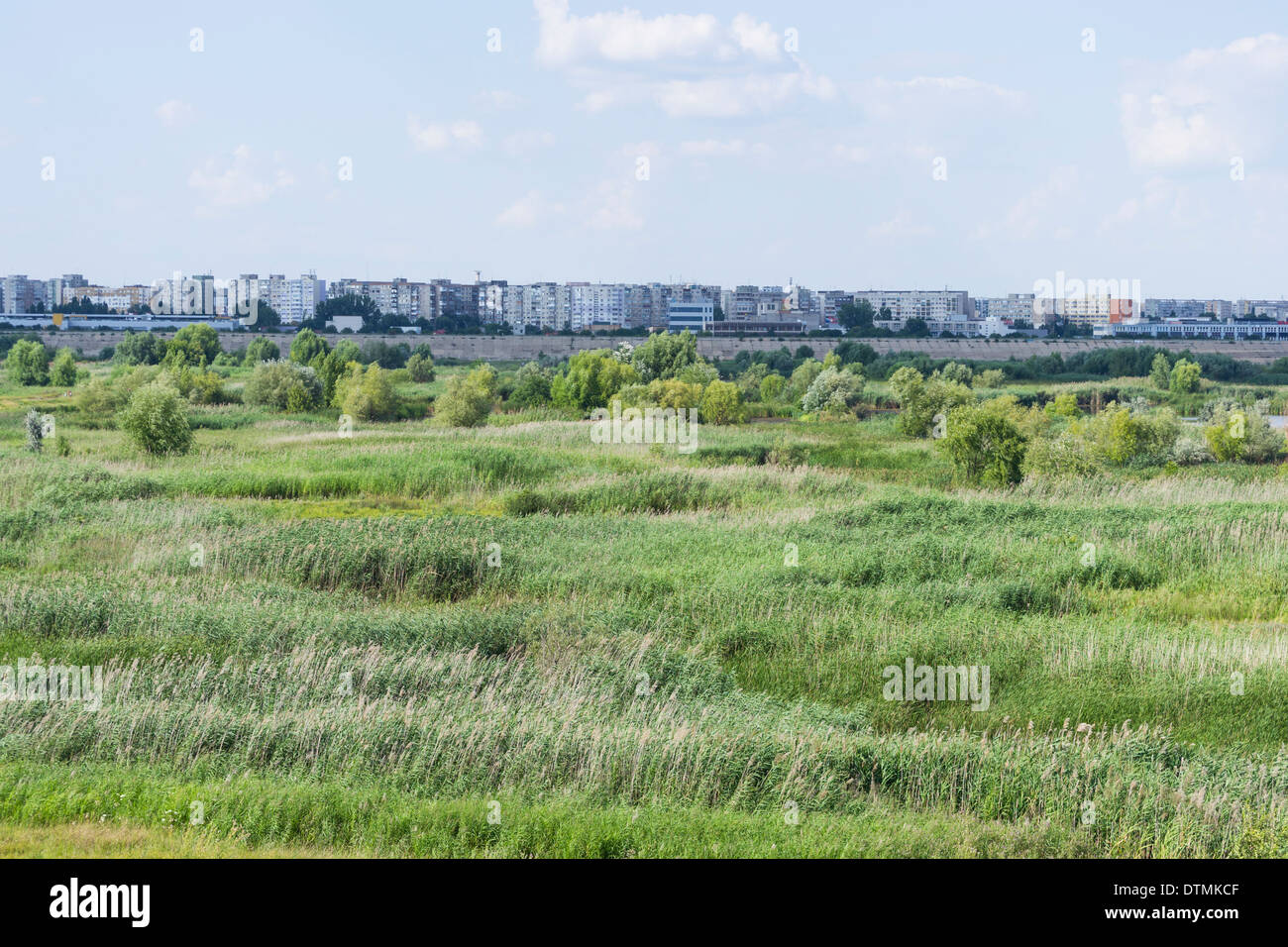 Vacaresti nature park hi-res stock photography and images - Alamy