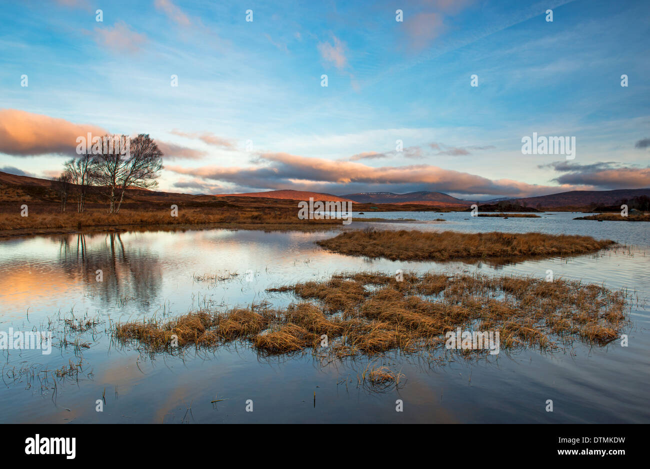 Loch ba trees hi-res stock photography and images - Alamy