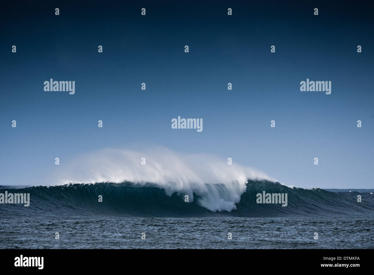 massive blue wave in hawaii Stock Photo - Alamy