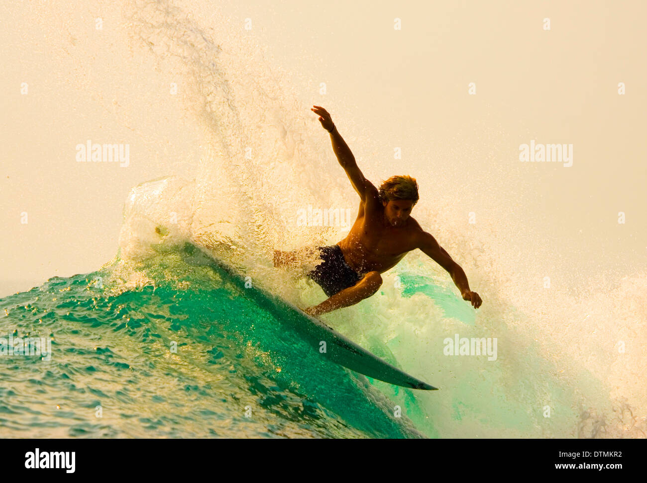 Surfboard Riding at Anita Sosebee blog