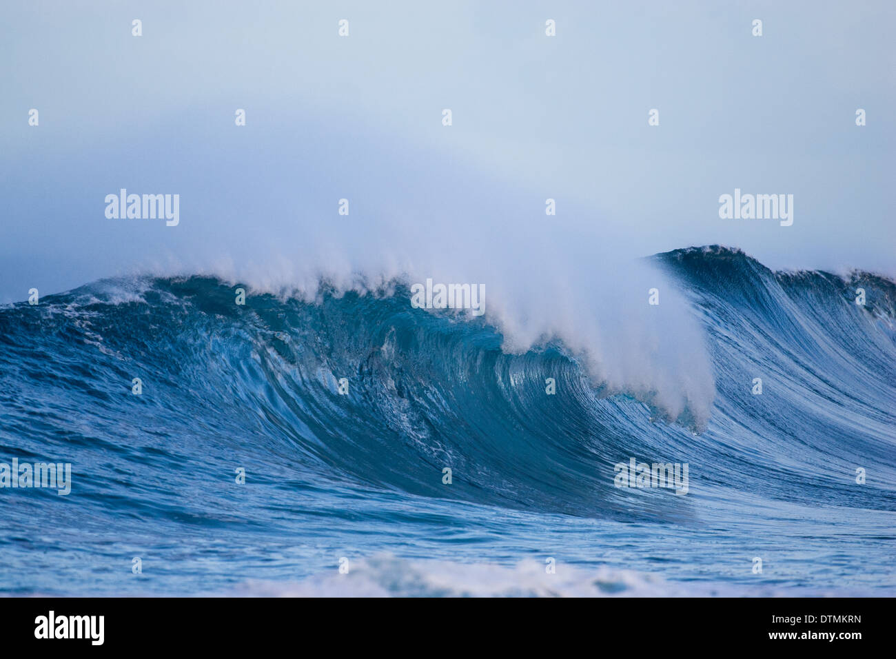 large wave in hawaii Stock Photo - Alamy