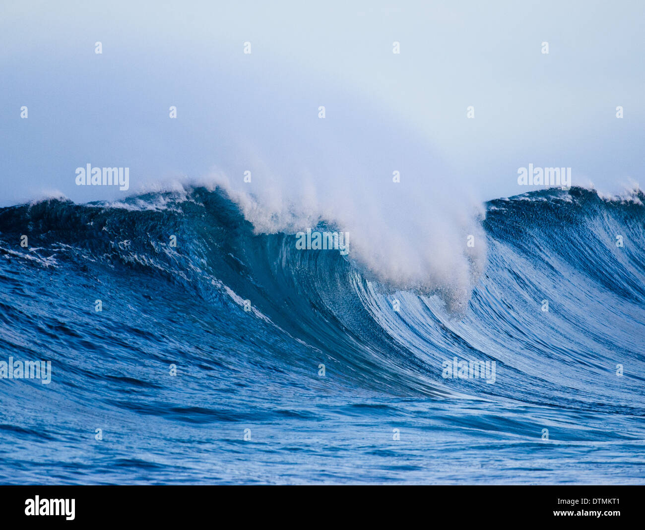 large wave in hawaii Stock Photo - Alamy