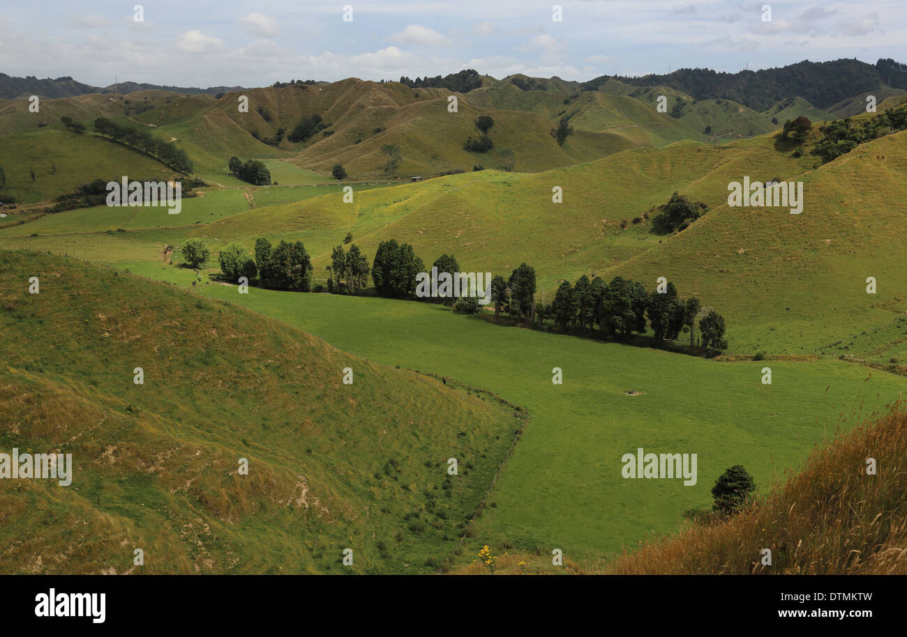 Forgotten highway new zealand hi-res stock photography and images - Alamy
