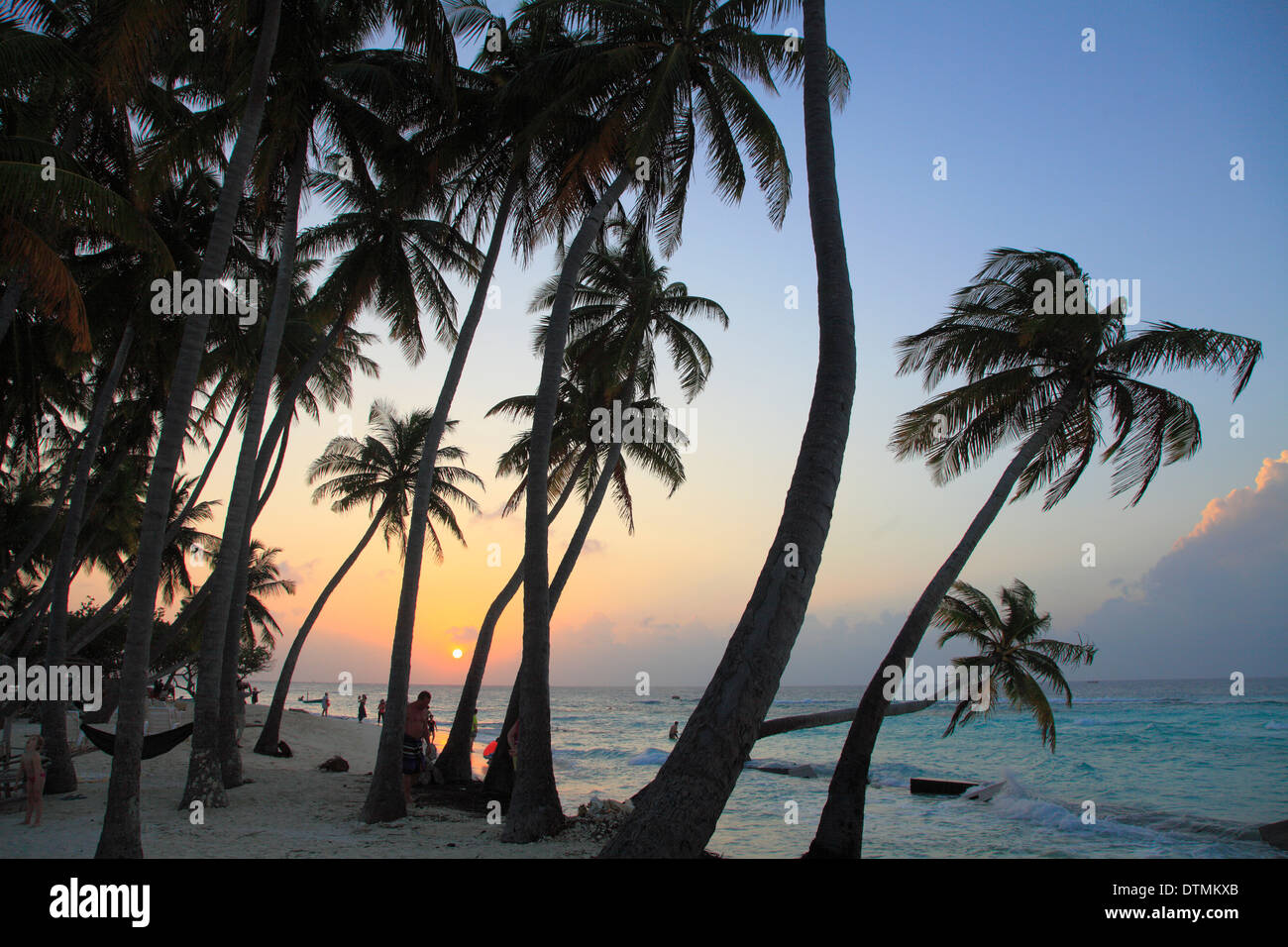 Maldives, Maafushi Island, sunset, palms, beach Stock Photo - Alamy