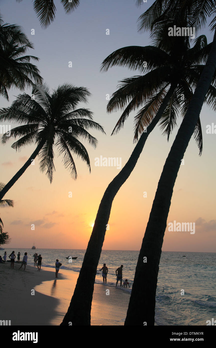 Maldives maafushi island sunset palms hi-res stock photography and images - Alamy