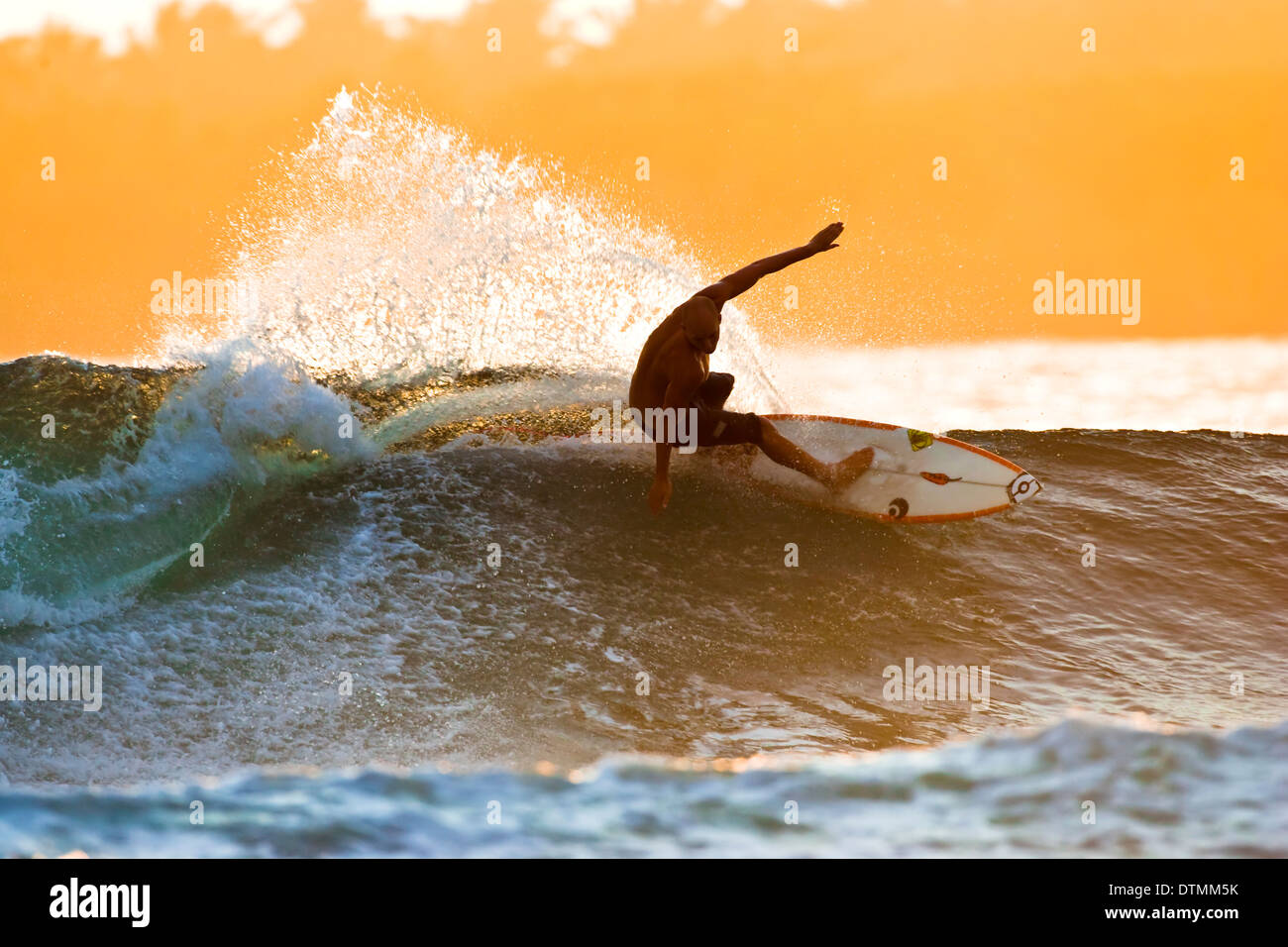 surfer on a surfboard riding a wave in the ocean sea water wave beach ...