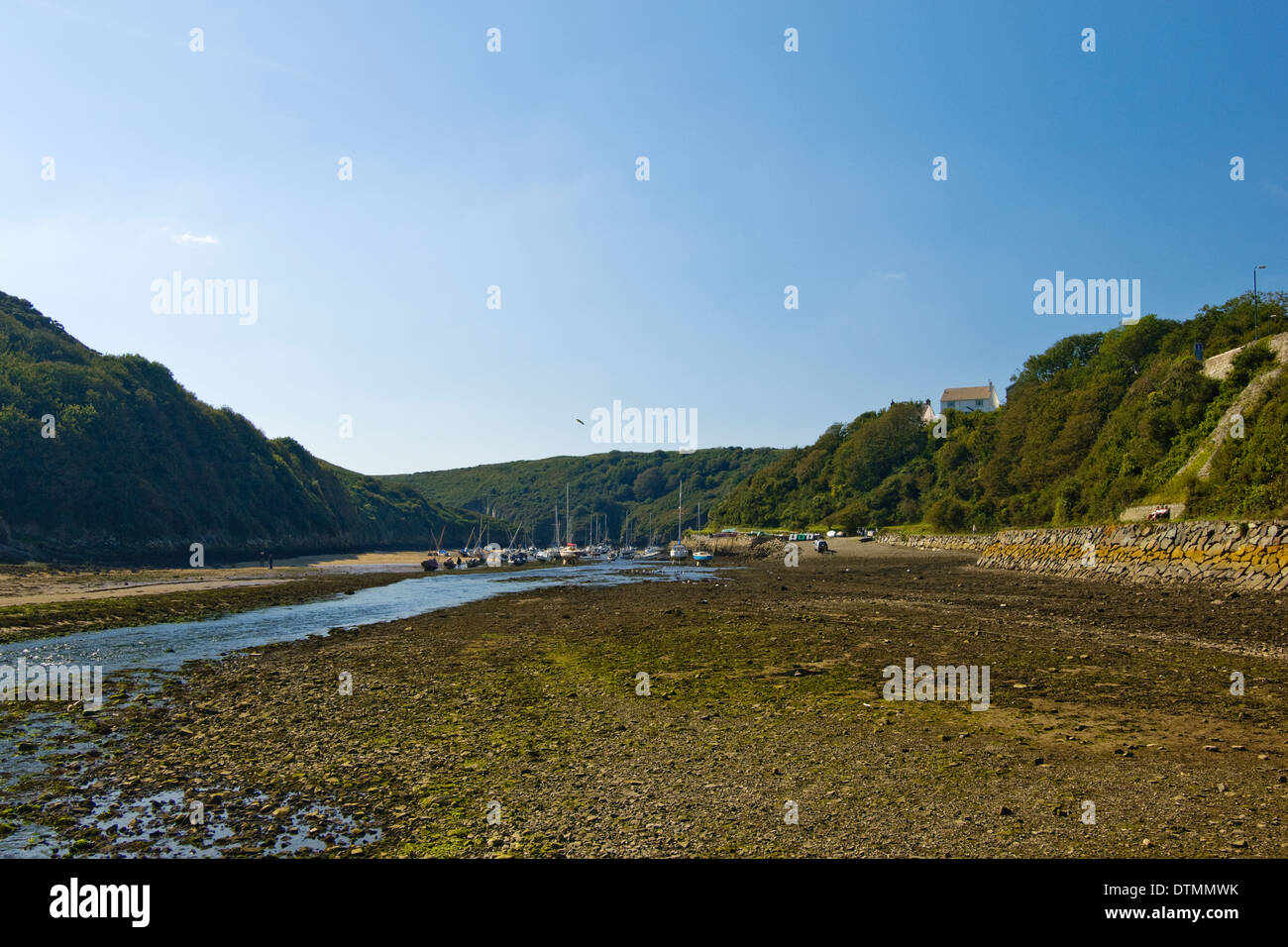Harbor of Solva at low tide. Solva was the point of embarkation for ...