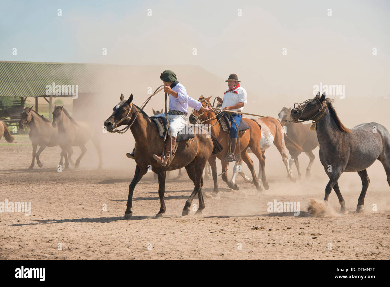 Ranch argentina horse gaucho hi-res stock photography and images - Alamy
