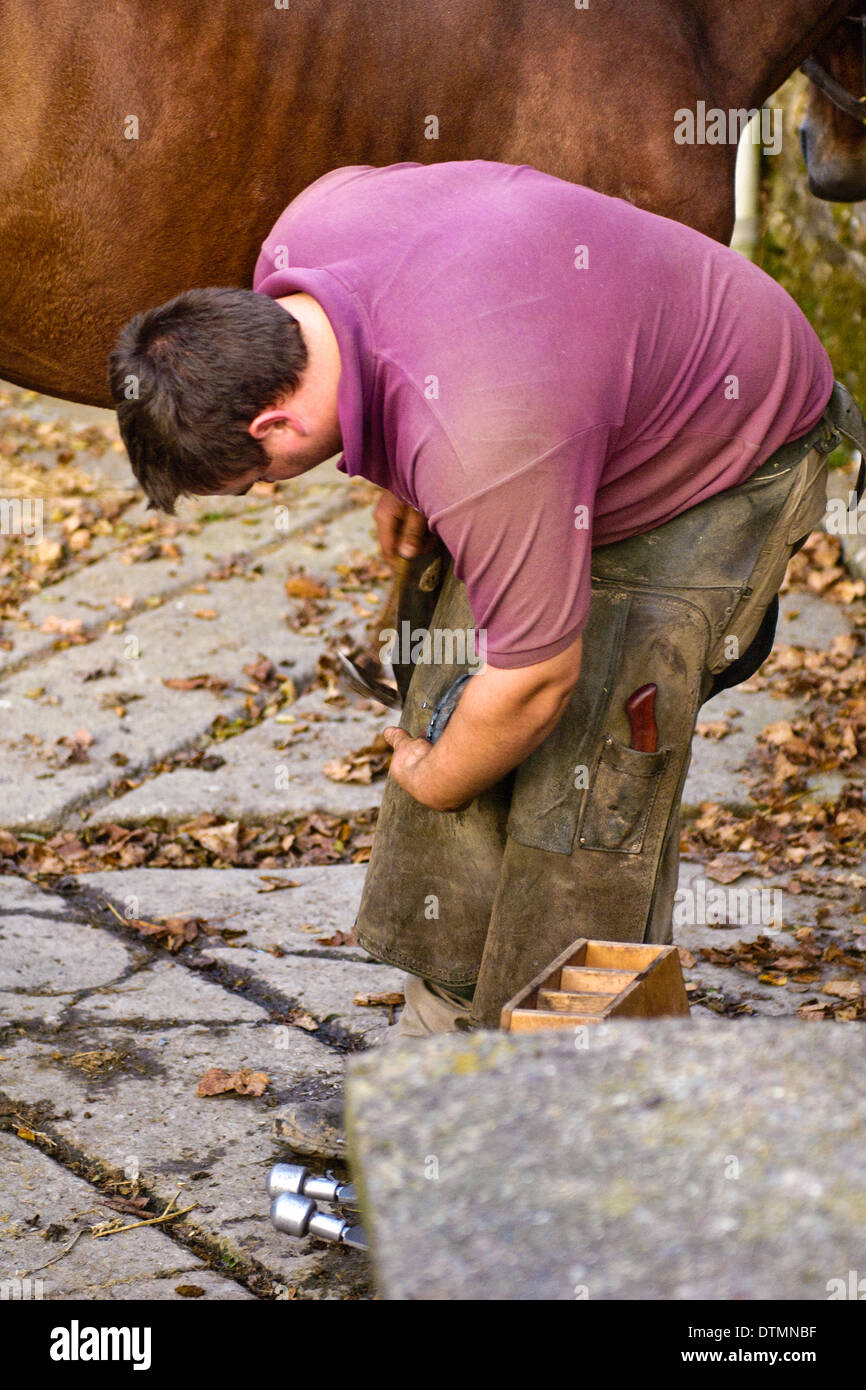 Farrier at work shoeing horses Stock Photo - Alamy