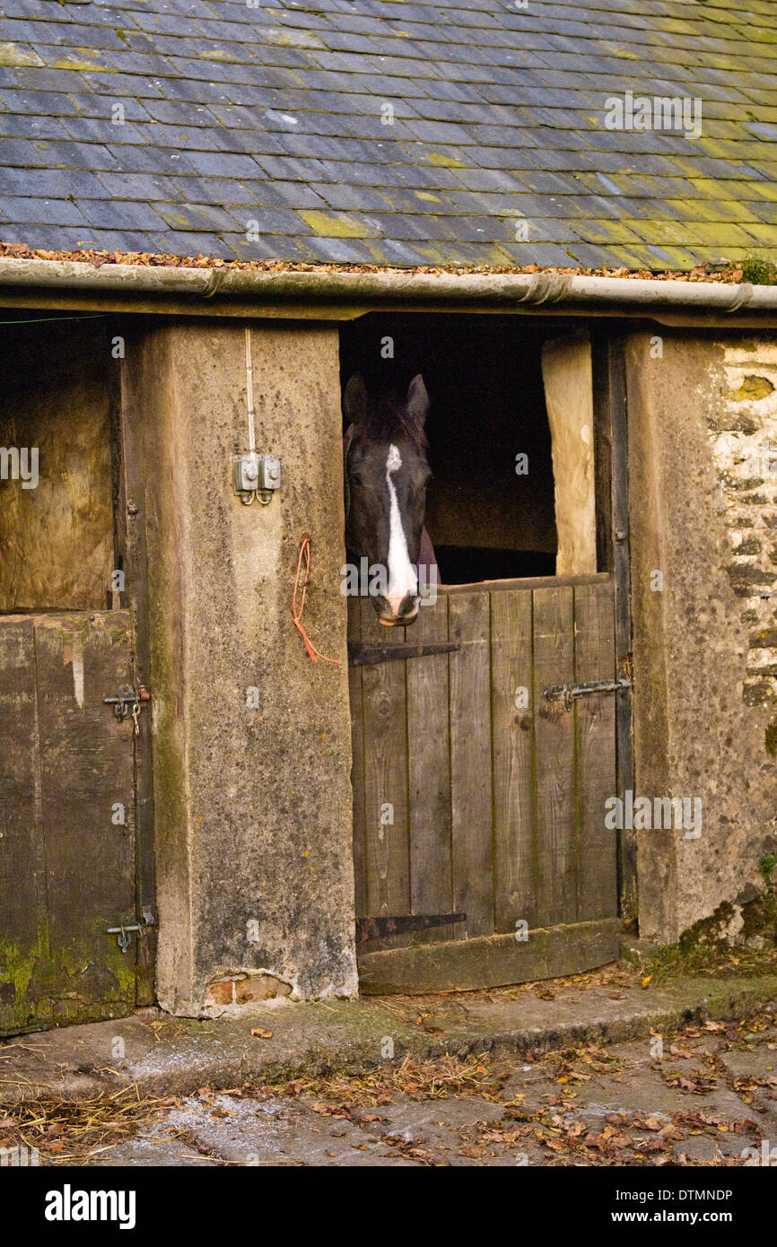 Hunter family farm hi-res stock photography and images - Alamy