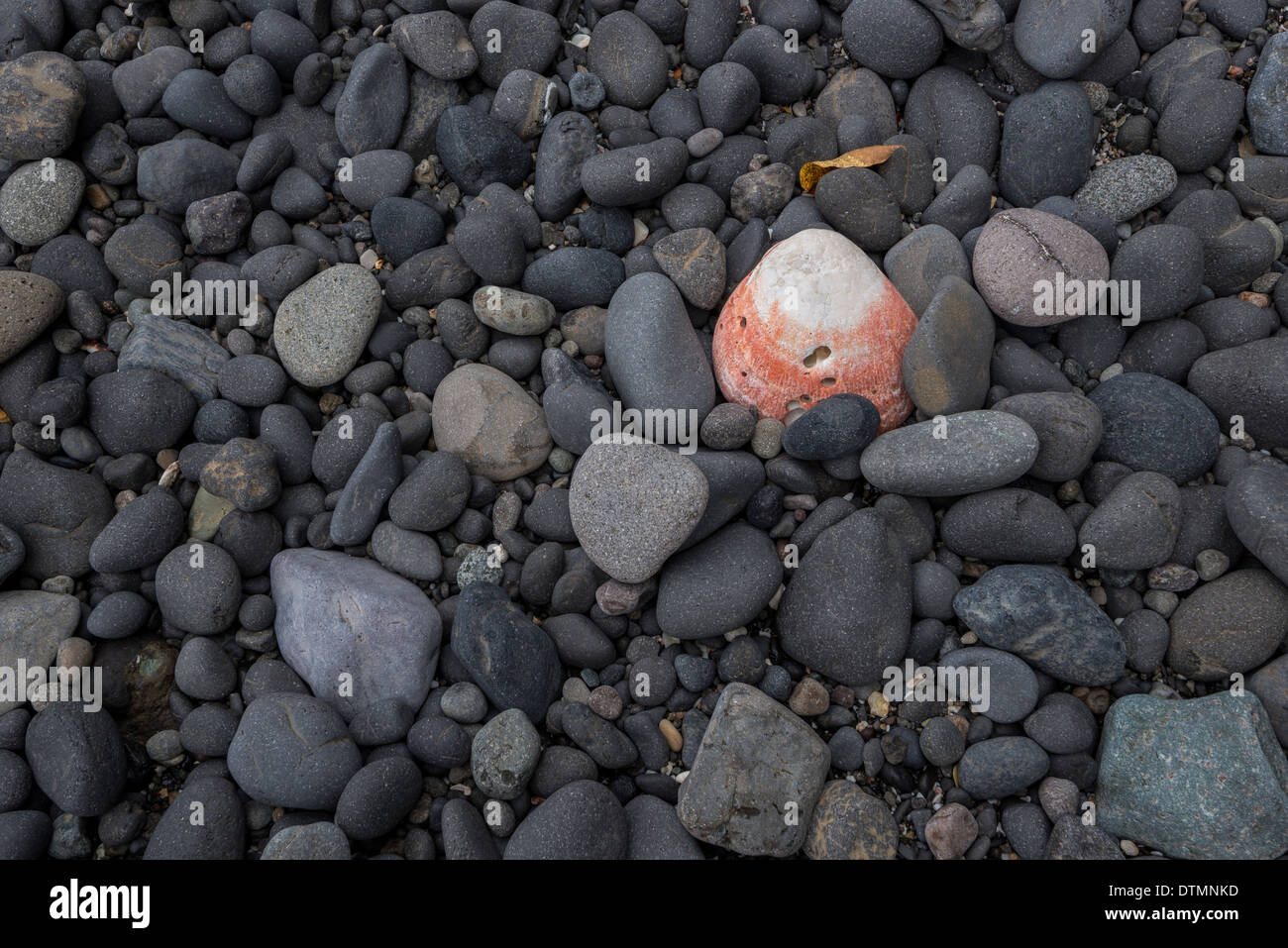 Black pebbles on the beach Stock Photo - Alamy