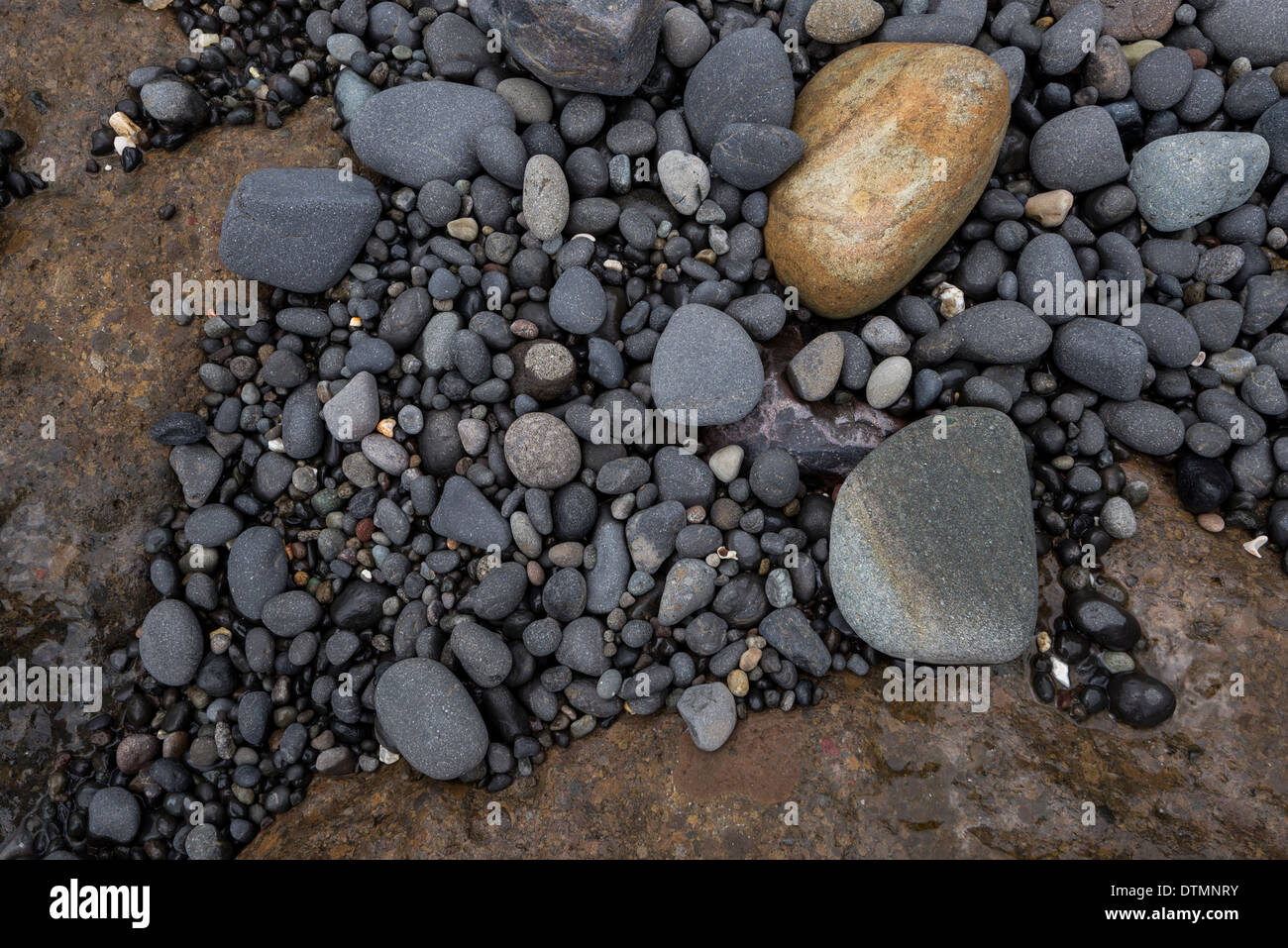 Black pebbles on the beach Stock Photo - Alamy