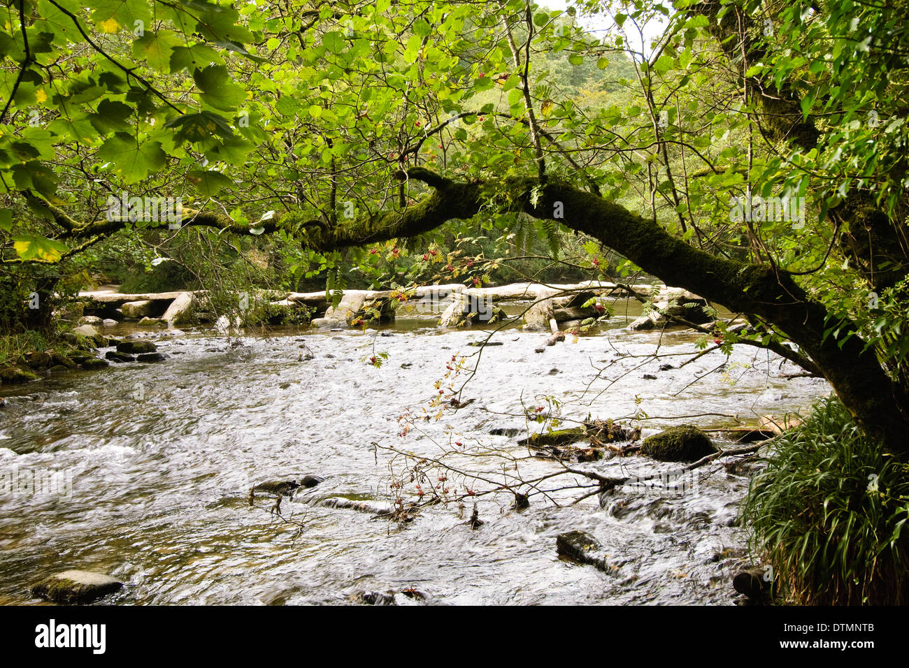 Tarr Steps on the River Barle, a neolithic bridge in use for over 5,000 ...