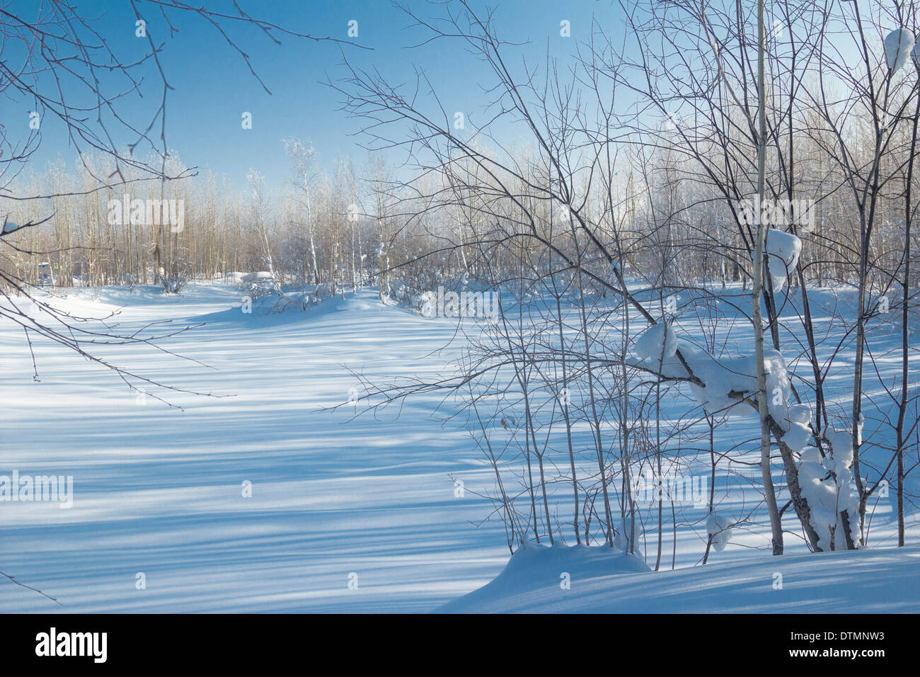 Nature zapodnom Siberia - winter frost sketches - 35 degrees Celsius ...