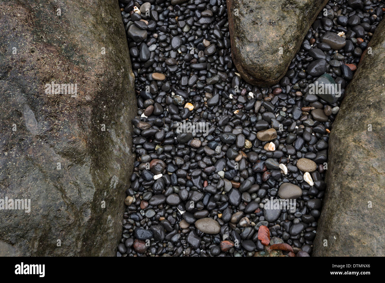 Black pebbles on the beach Stock Photo - Alamy