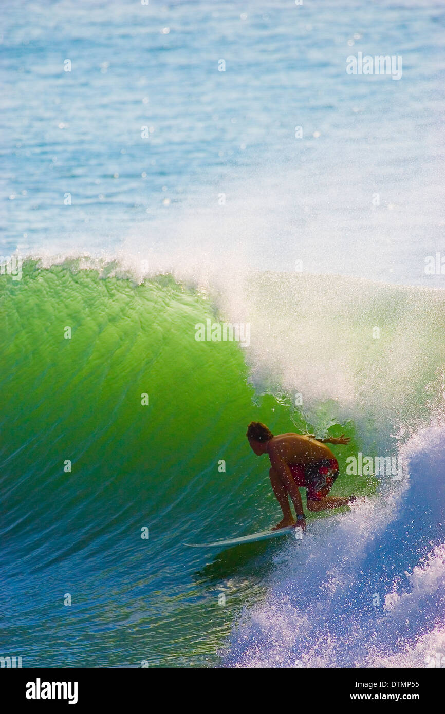 surfing getting barreld in a wave ocean sea water board beach hawaii ...