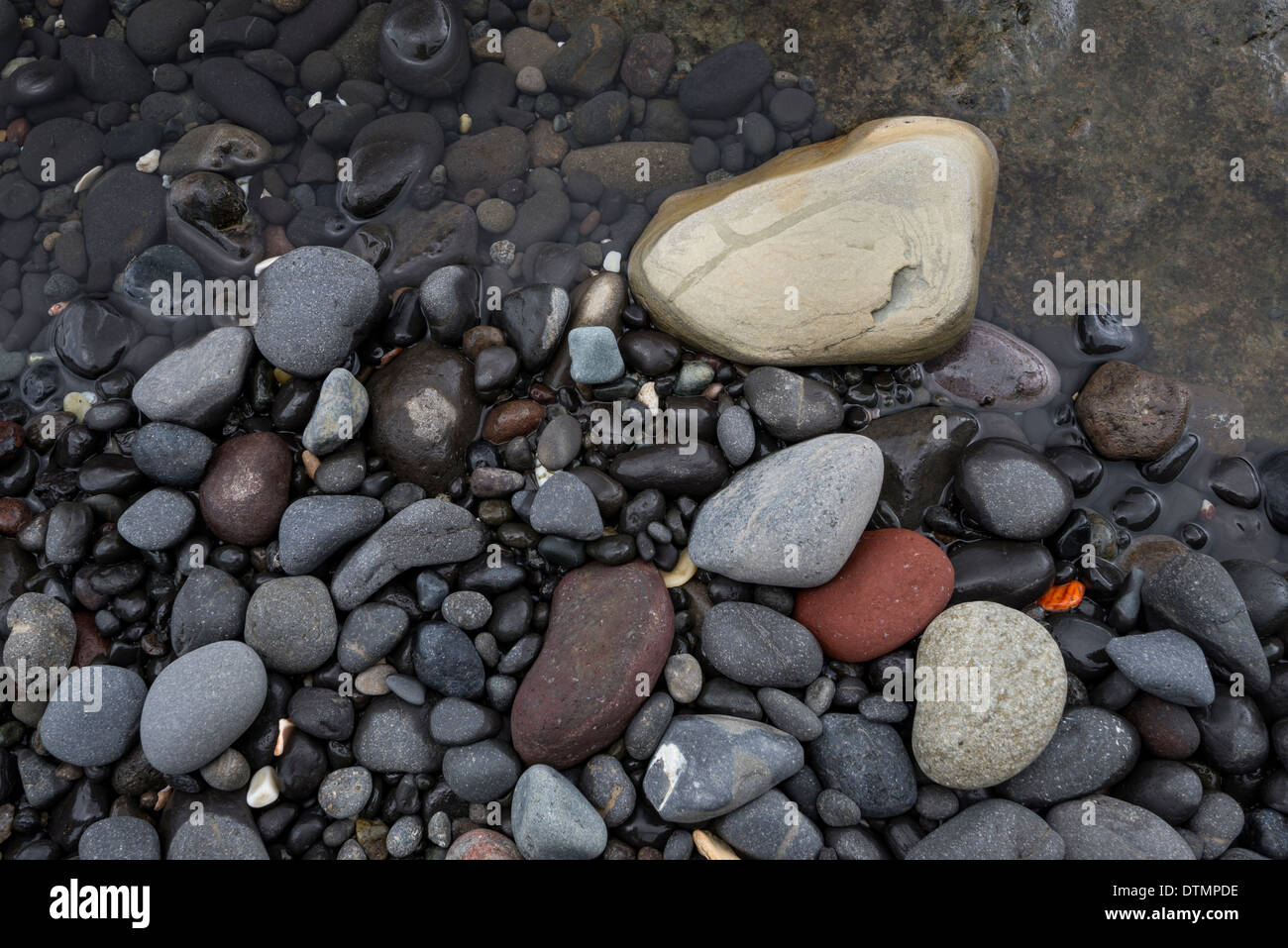 Black pebbles on the beach Stock Photo - Alamy