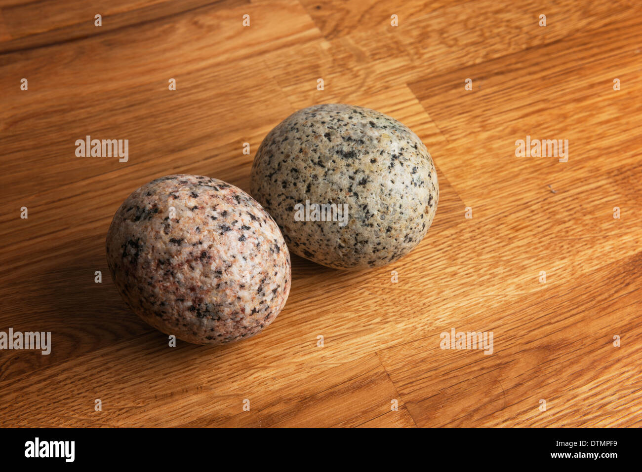 Fossilized eggs hi-res stock photography and images - Alamy