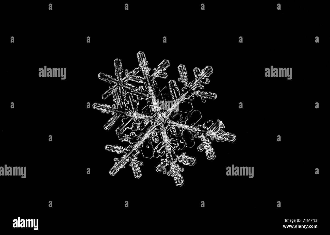 Snowflake on black hi-res stock photography and images - Alamy