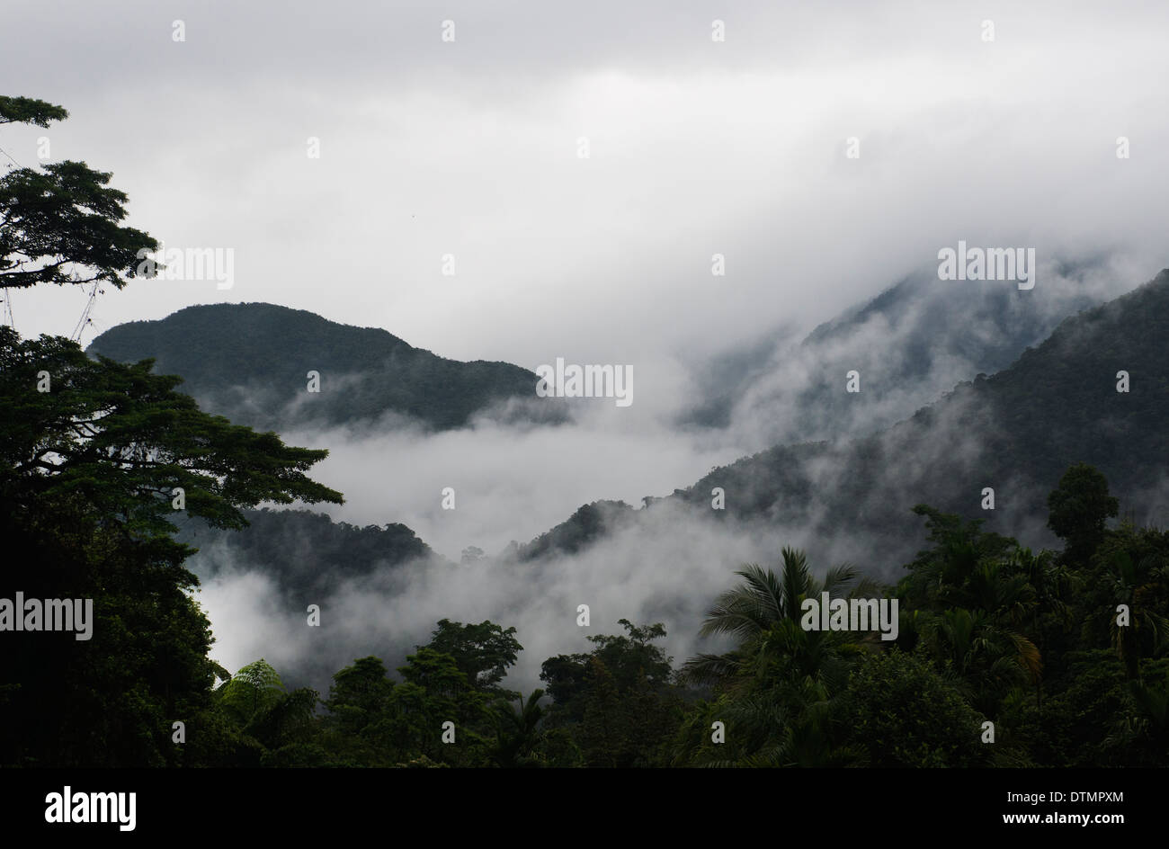 Beautiful landscapes of Gunung Mulu national park in Sarawak, Borneo ...