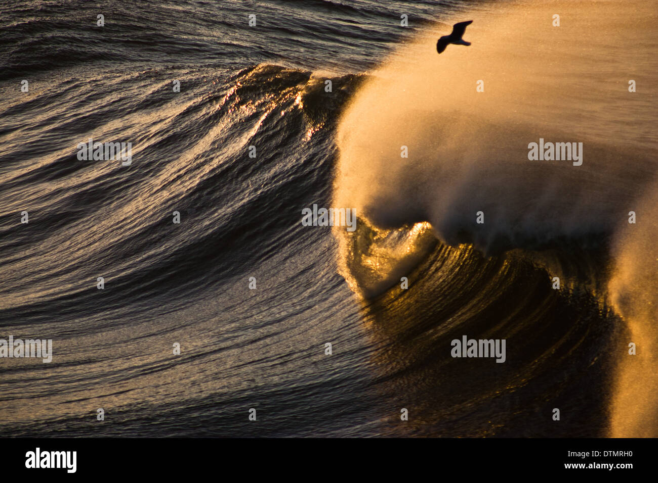 Rolling sets of waves hi-res stock photography and images - Alamy