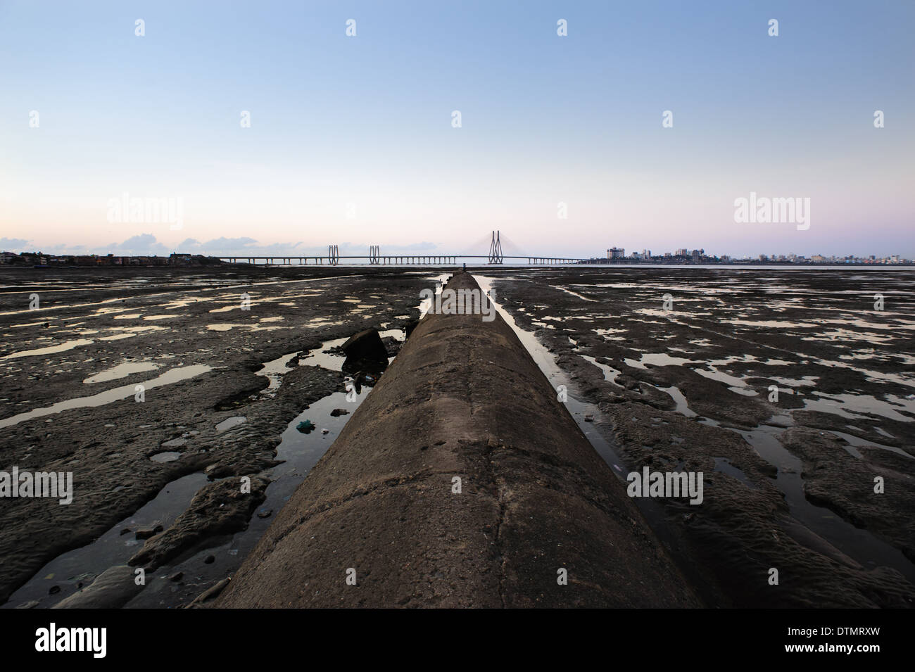 Low tide view of the Bandra Worli Sea Link bridge from the Worli Mahim ...