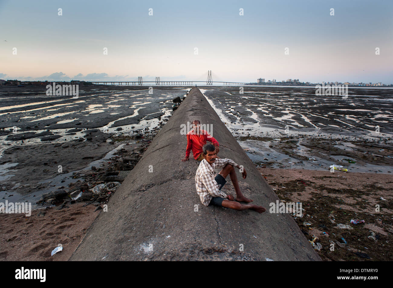Low tide view of the Bandra Worli Sea Link bridge from the Worli Mahim ...