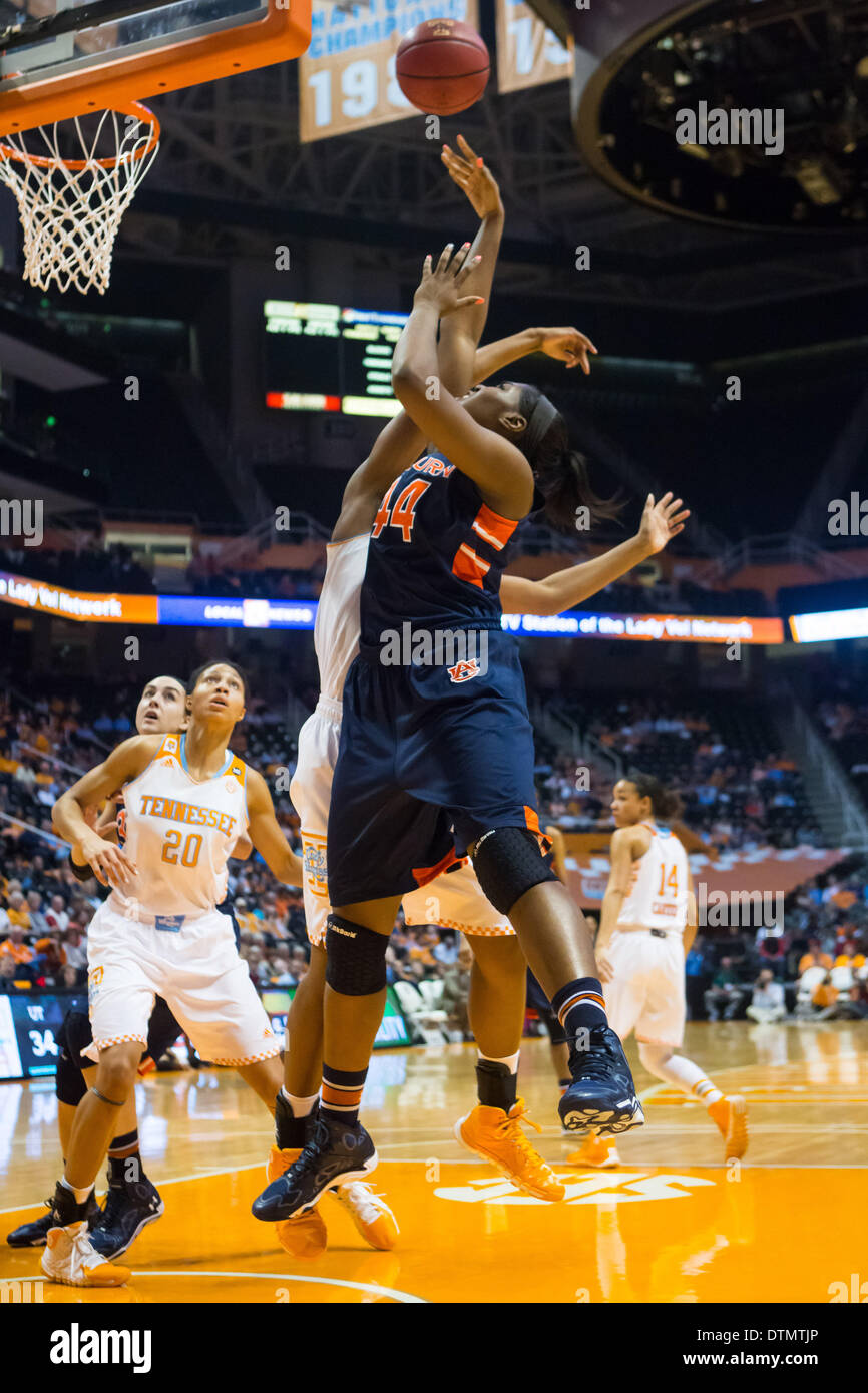 Tanner thompson hi-res stock photography and images - Alamy