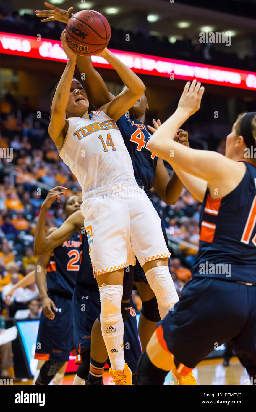 Tanner thompson hi-res stock photography and images - Alamy