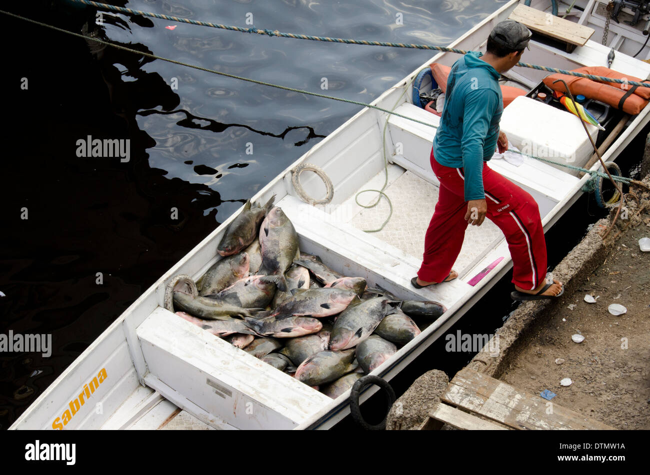 Brazil, Amazon, Manaus. Local fishing boat filled with the catch of the ...