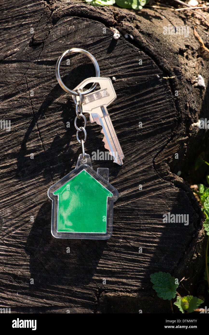 Keychain in a shape of house on wood. Green color house Stock Photo - Alamy