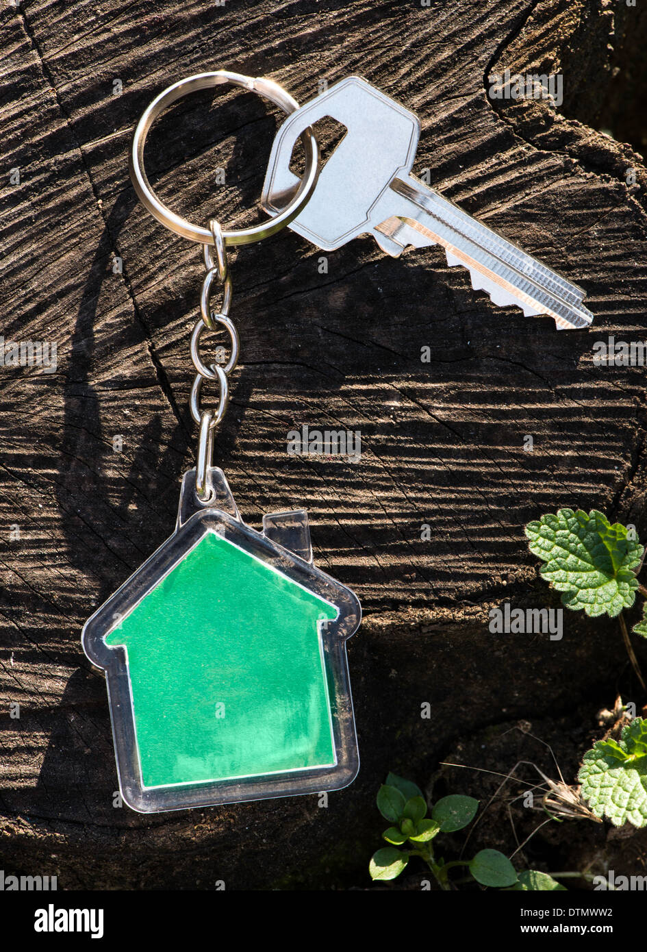 Keychain in a shape of house on wood. Green color house Stock Photo - Alamy