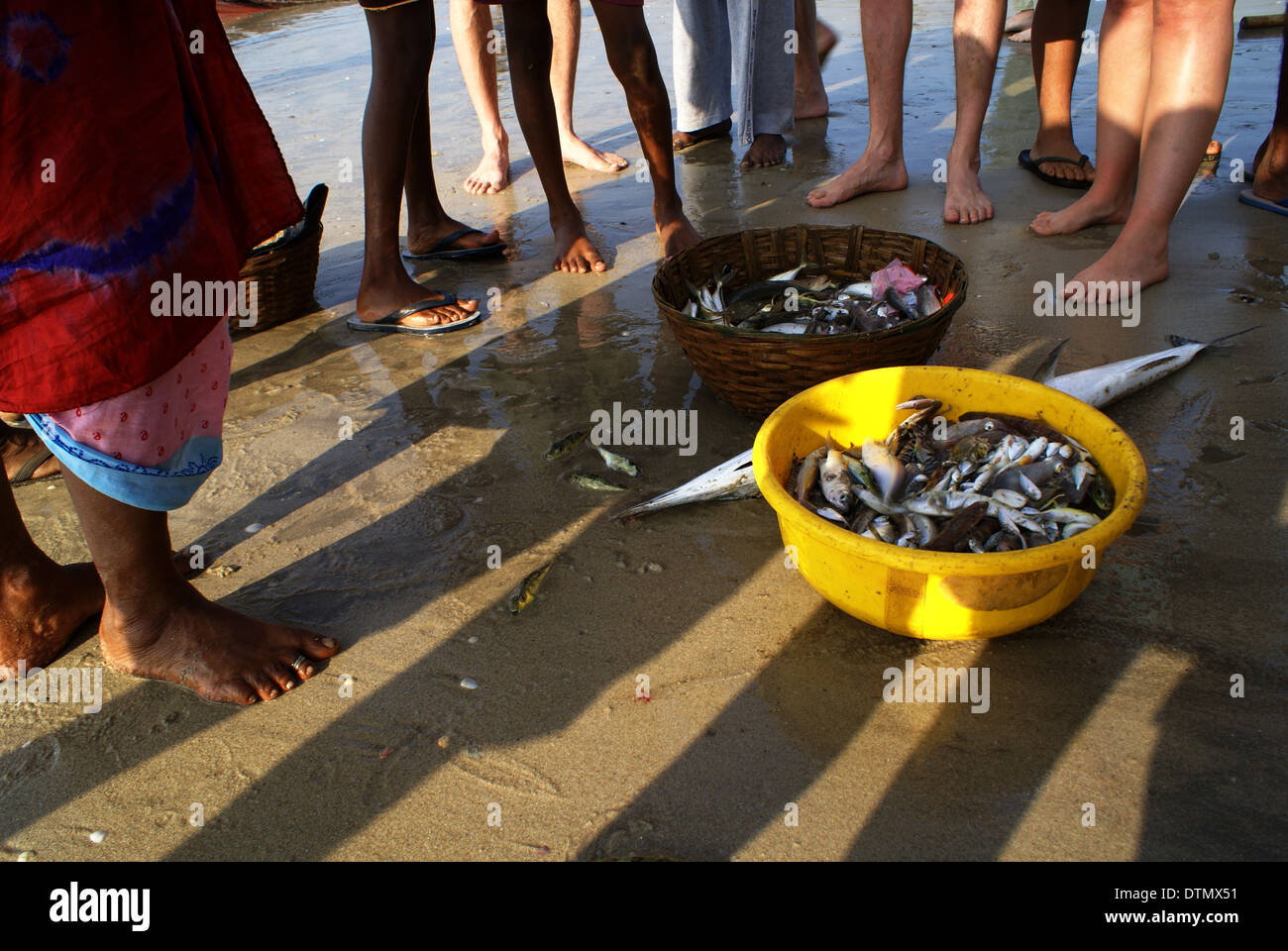 Indian woman selling fresh fish on a beach Stock Photo - Alamy
