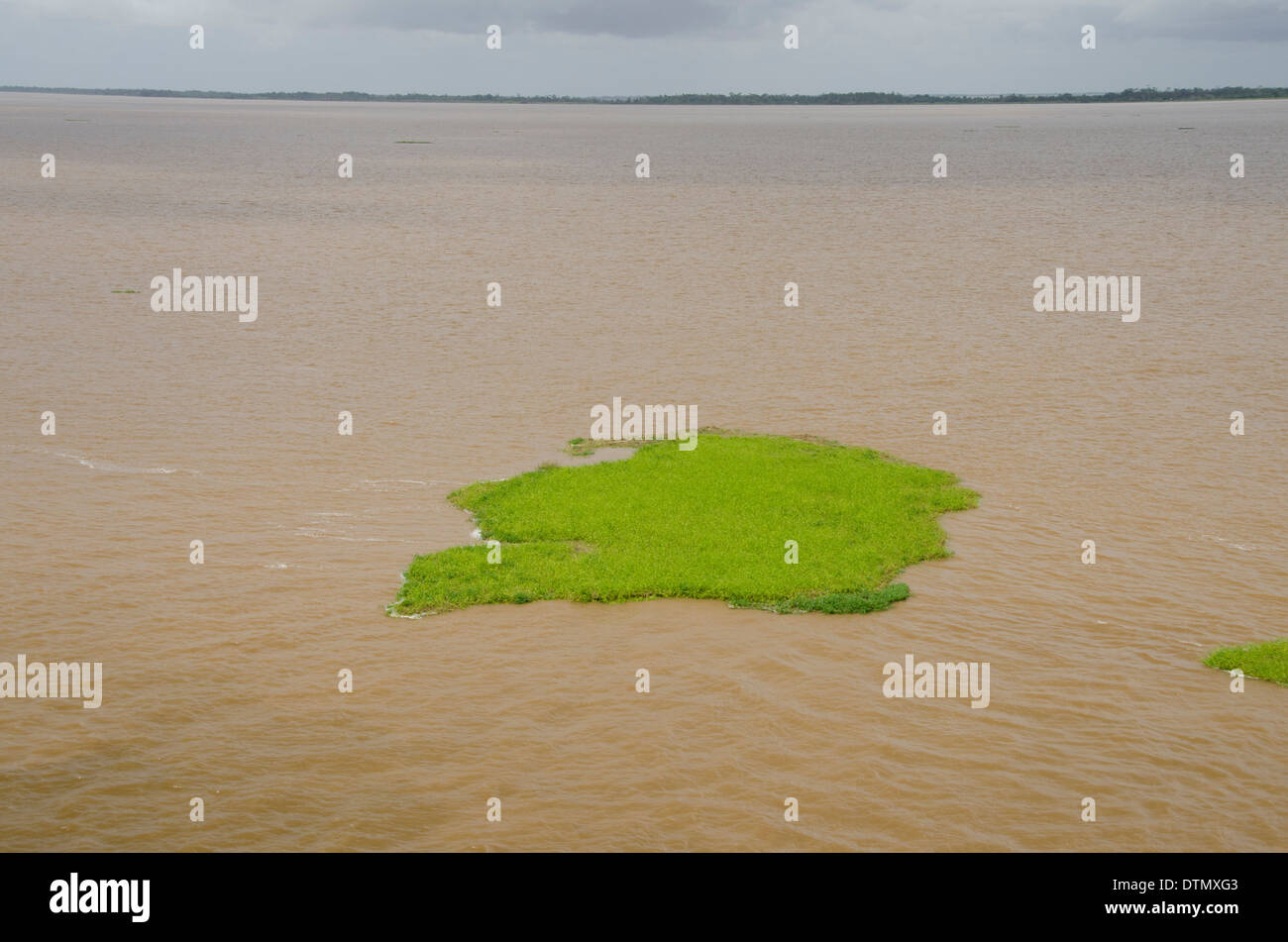 Brazil, Amazon, Manaus. The Meeting of the Waters where the Solimoes ...