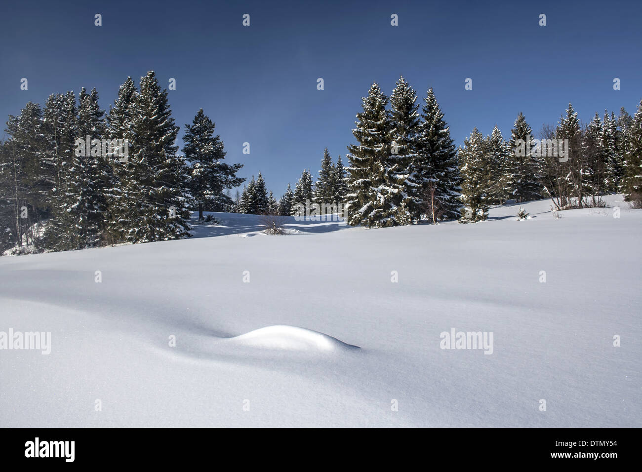 Beautiful winter landscape Stock Photo - Alamy