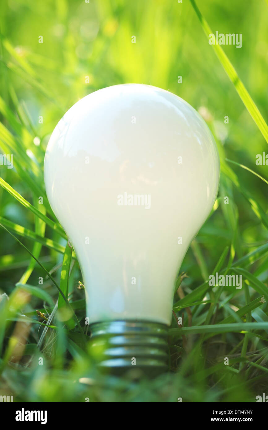 Light bulb in grass Stock Photo - Alamy