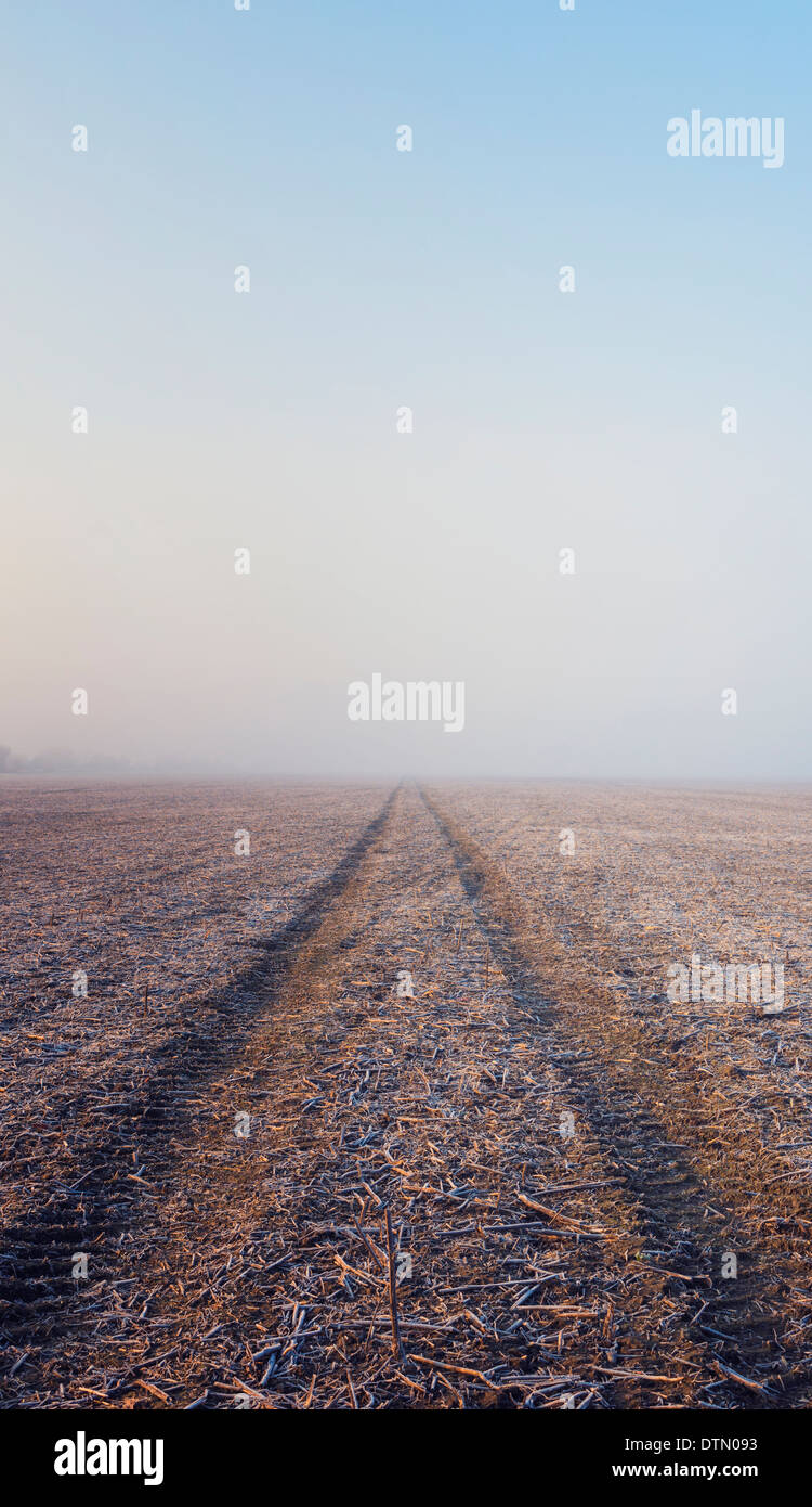 Field leading hi-res stock photography and images - Alamy