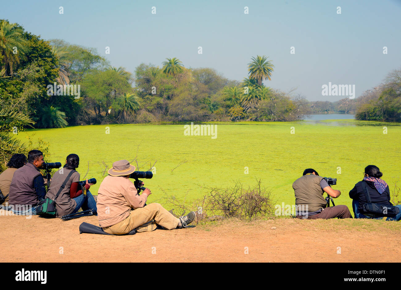 Observing the nature hi-res stock photography and images - Alamy