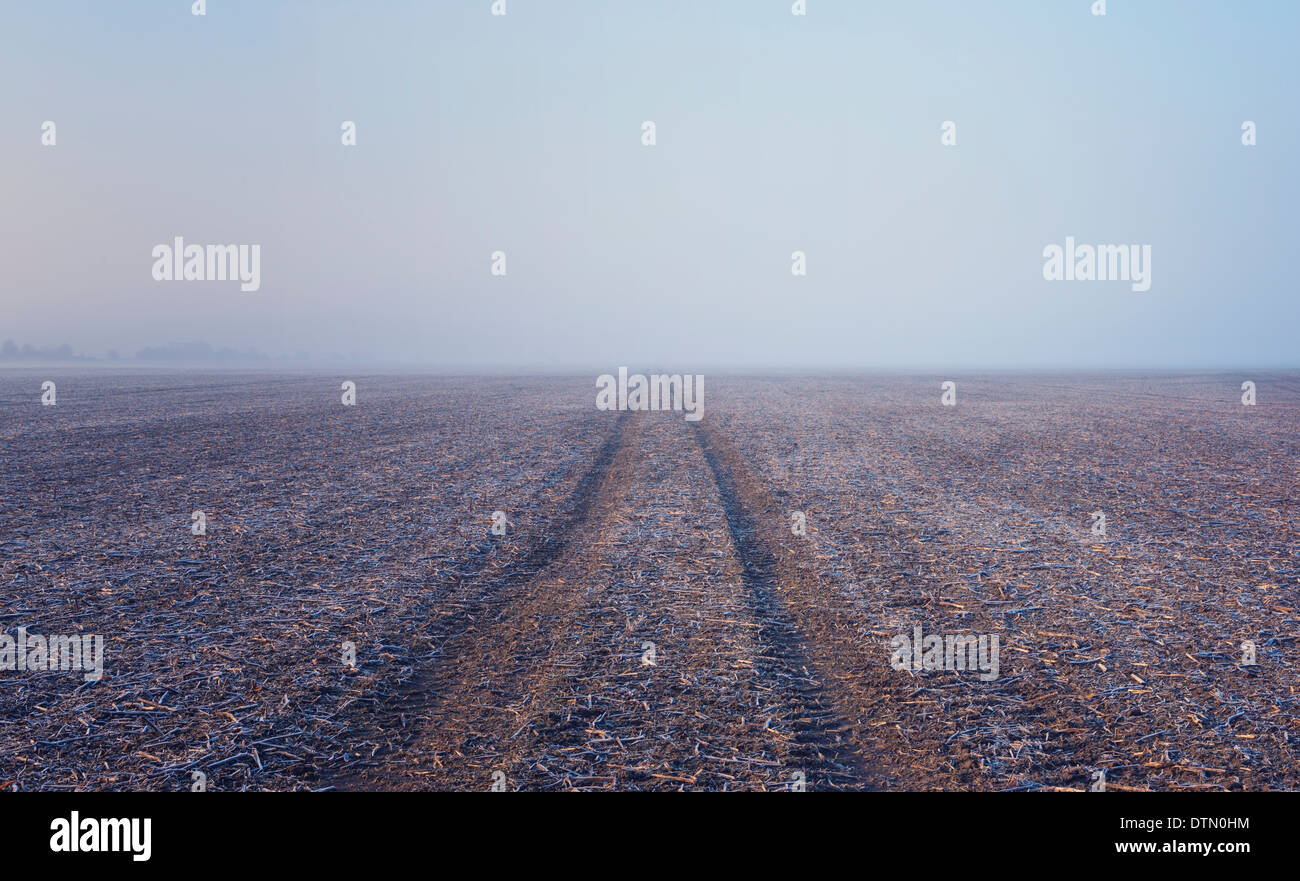 A track in a field leading into the mist Stock Photo - Alamy