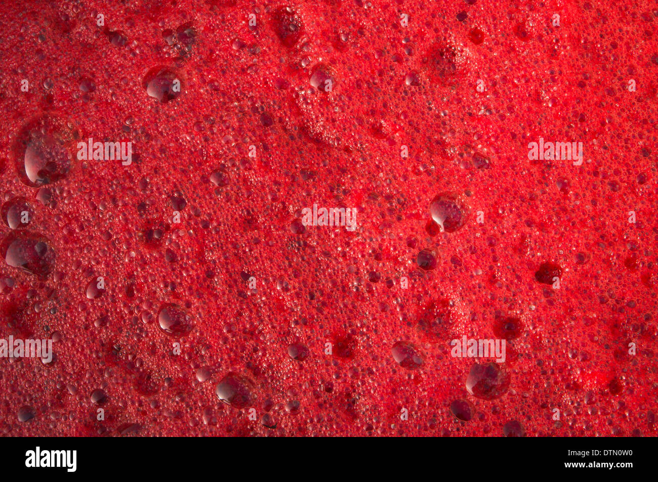 hog-killing time, blood foam Stock Photo - Alamy
