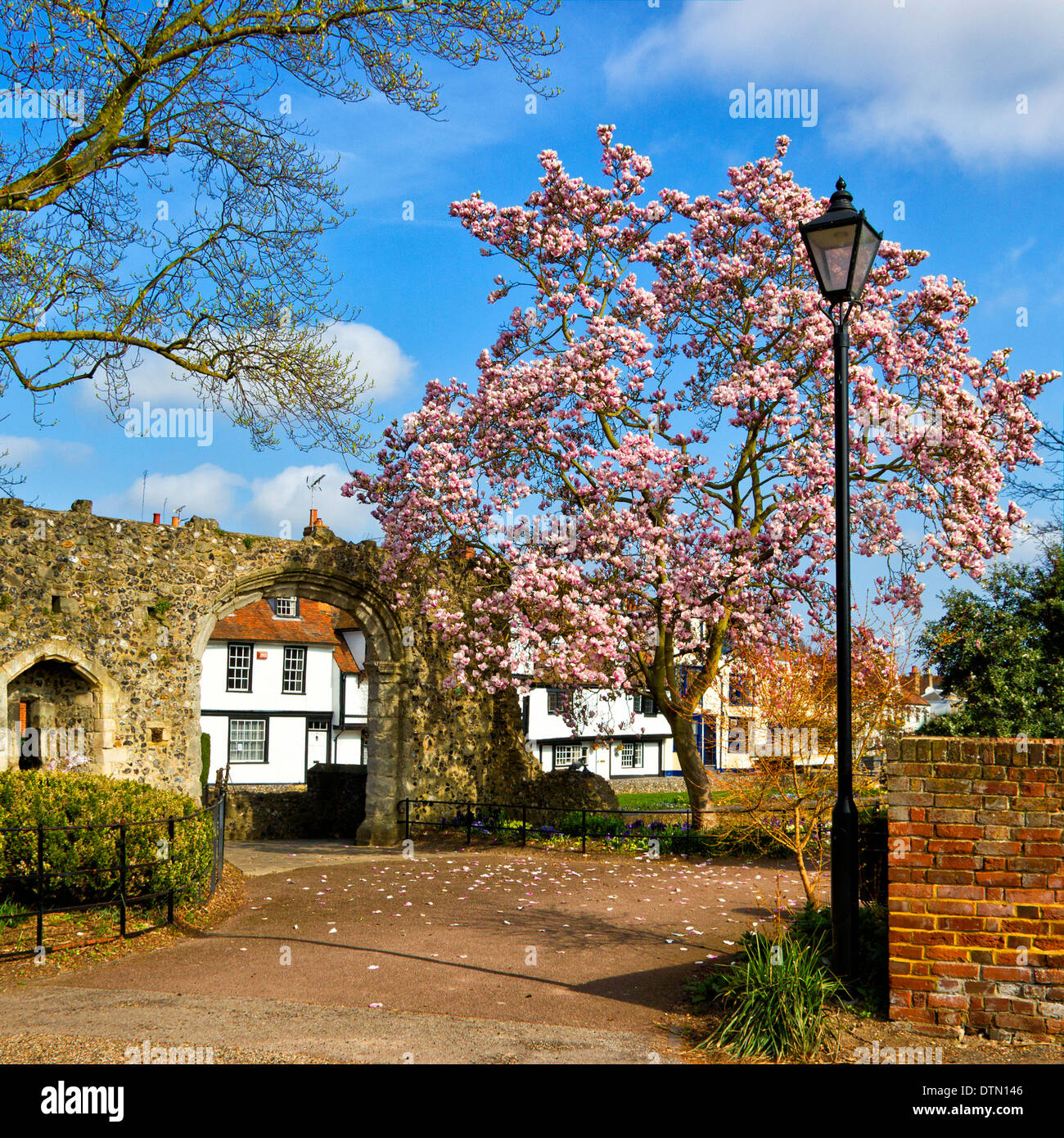 Westgate Gardens in Spring, Canterbury Stock Photo - Alamy