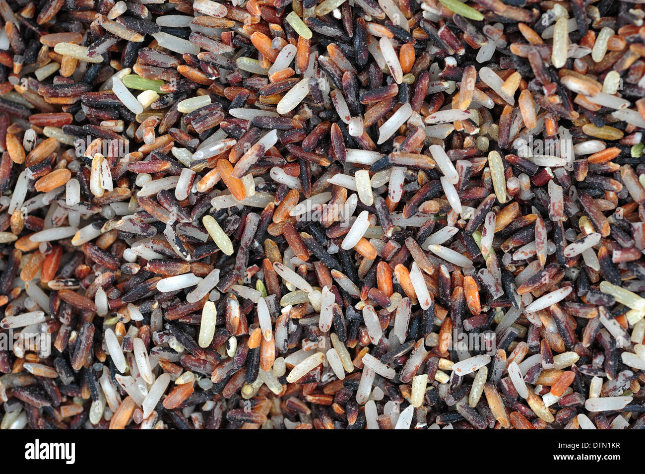 Moldy Background High Resolution Stock Photography and Images - Alamy