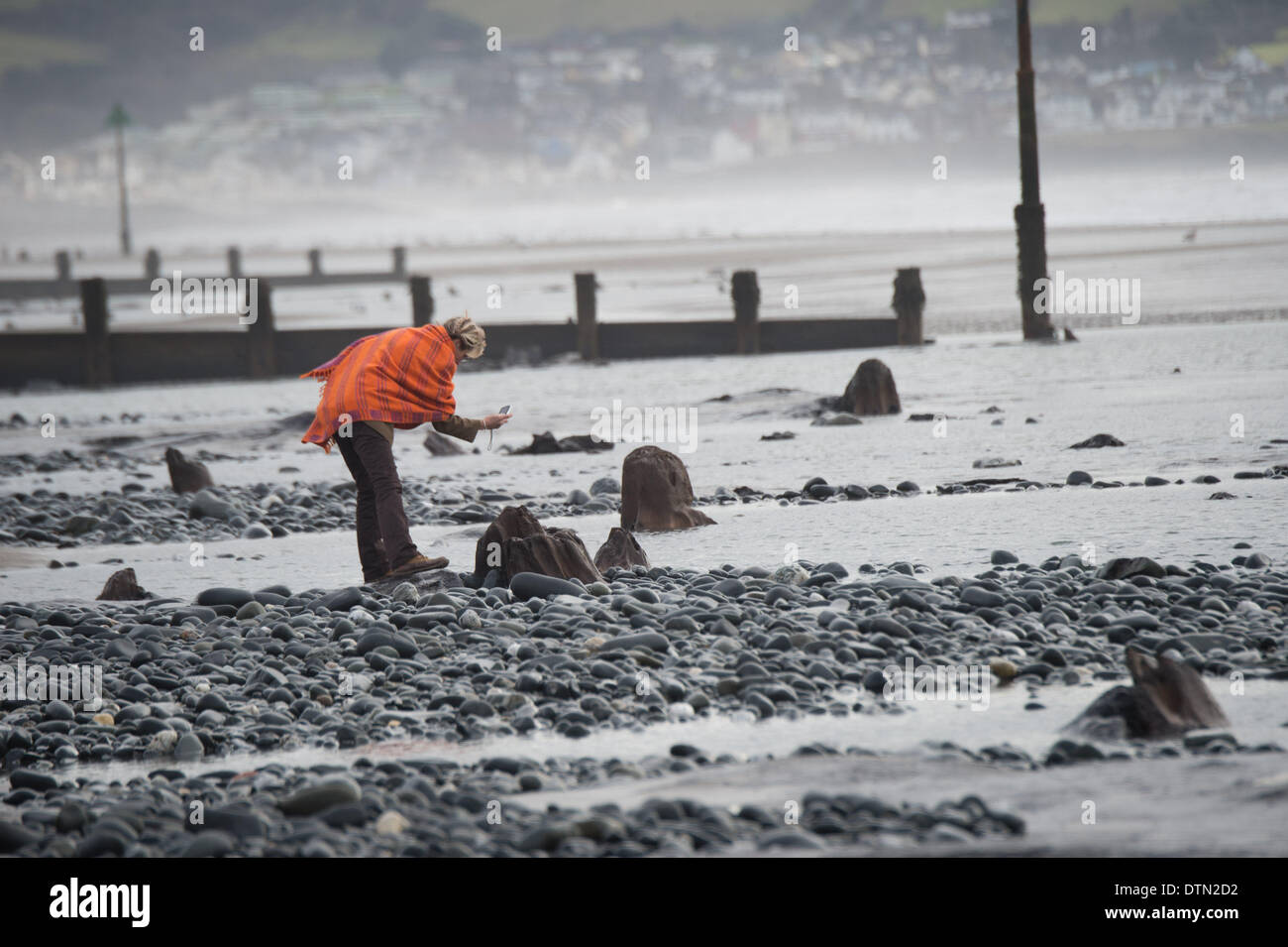 Submerged forest borth west wales hi-res stock photography and images ...